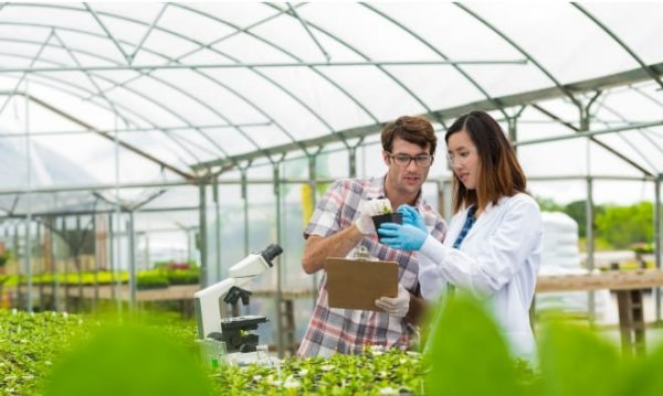 Online Environmental Science Degree | BS Environmental Science ...